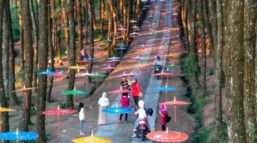 Paket Wisata Explore Magelang 2 Hari 1 Malam | Joglo Wisata