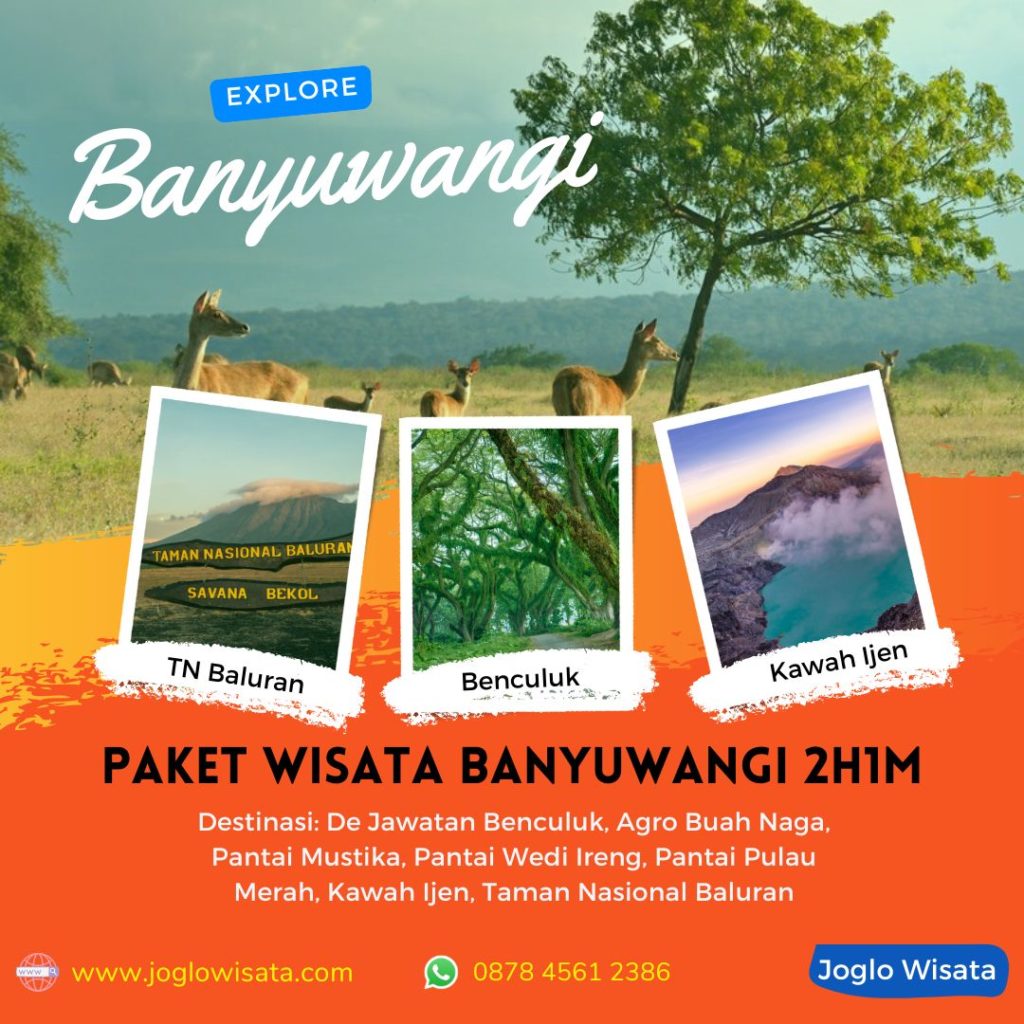 Daftar Wisata Banyuwangi Paling Hits, Sudah Pernah ke Sini? | Joglo Wisata