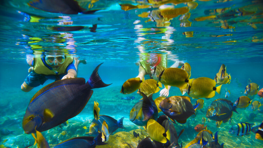 Pantai Tiga Warna: Pesona Gradasi Air Laut Unik di Malang | Joglo Wisata